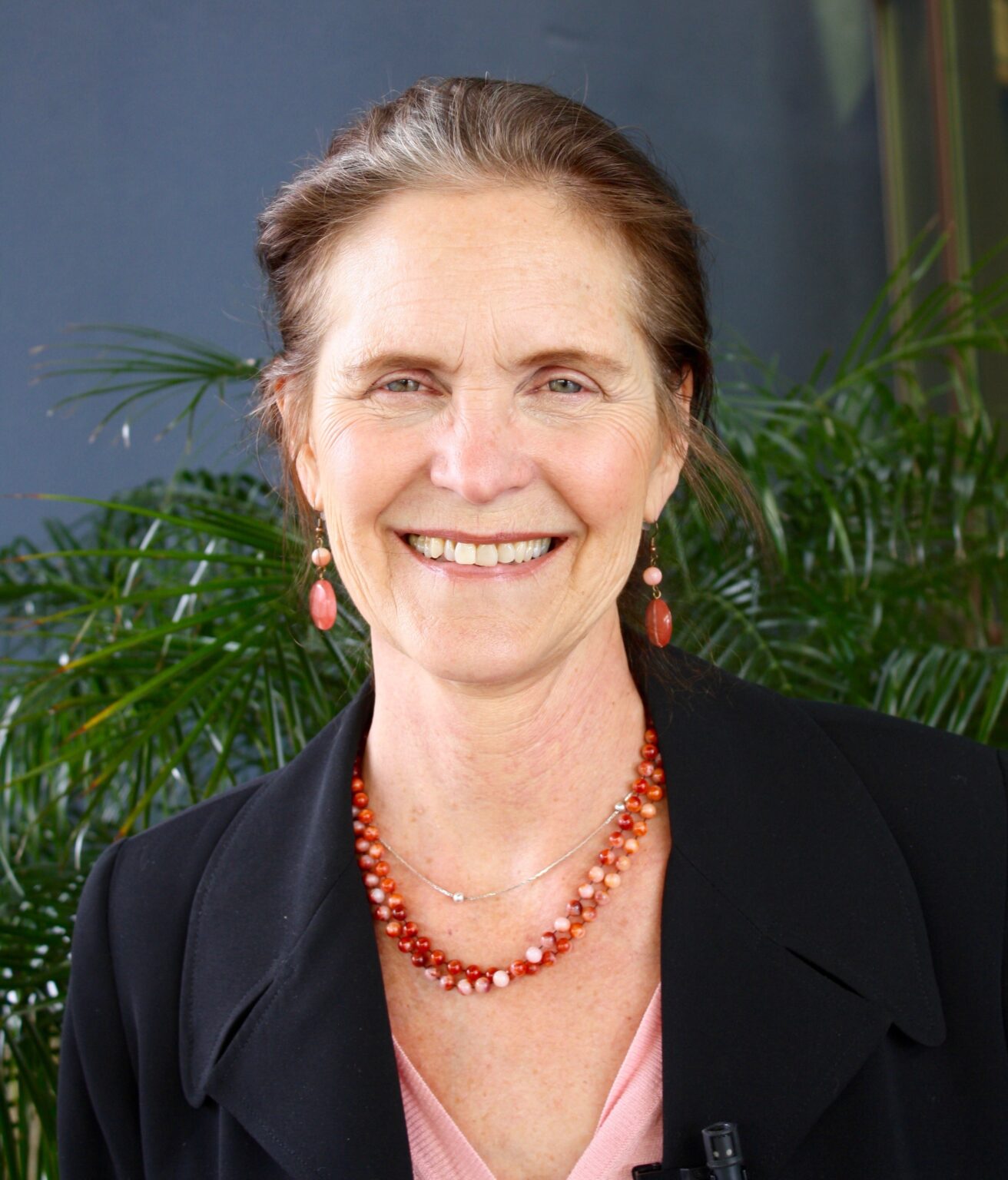 Meet the Developers - Ages and Stages